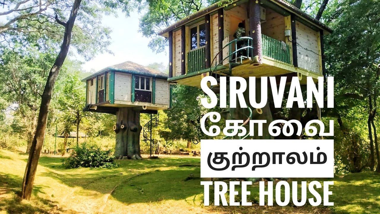 Kovai kutralamTree House|Siruvani water falls Tree House|கோவை ...