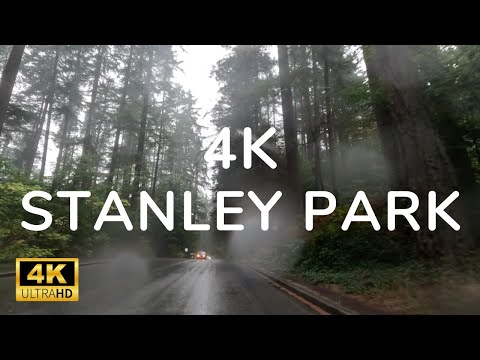 4K Drive Through Stanley Park on a Rainy Day | British Columbia, Canada