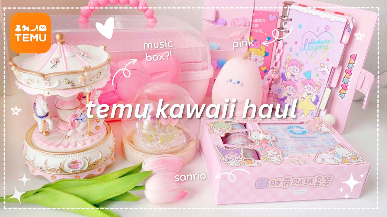 kawaii temu aesthetic haul 🛒💗 (sanrio, stationery, pink aesthetic finds ...