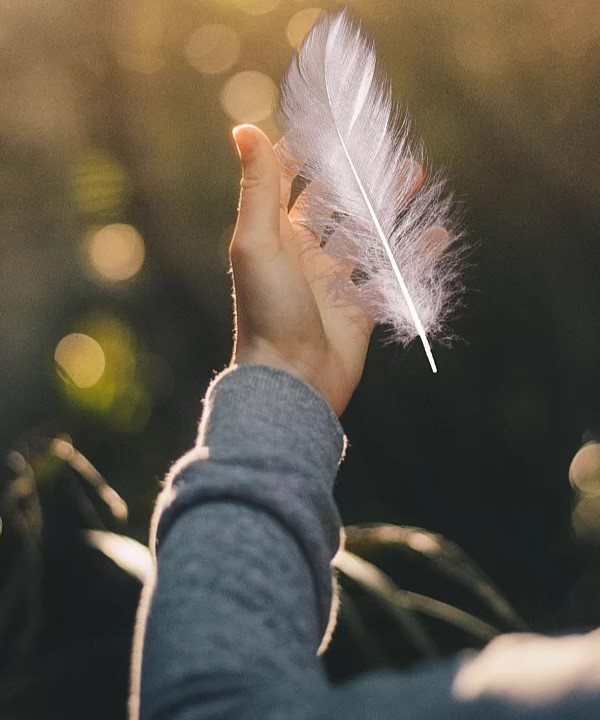 How to make flawless feather selection in Photoshop 2024 #shorts # ...