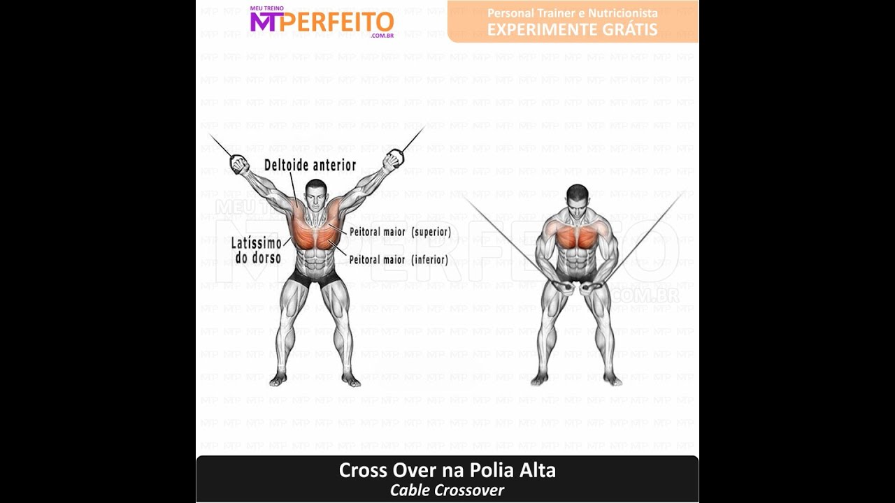 Cross Over na Polia Alta - Músculos Trabalhados - YouTube