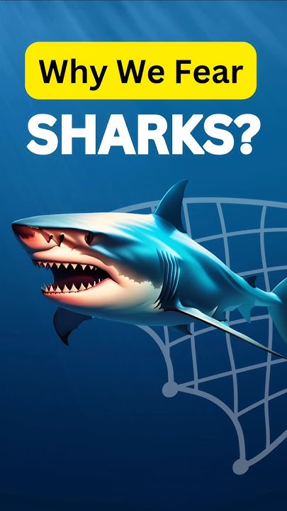 🧠Psychology of Sharks Fear – GALEOPHOBIA! Why Do We Fear SHARKS?🦈# ...