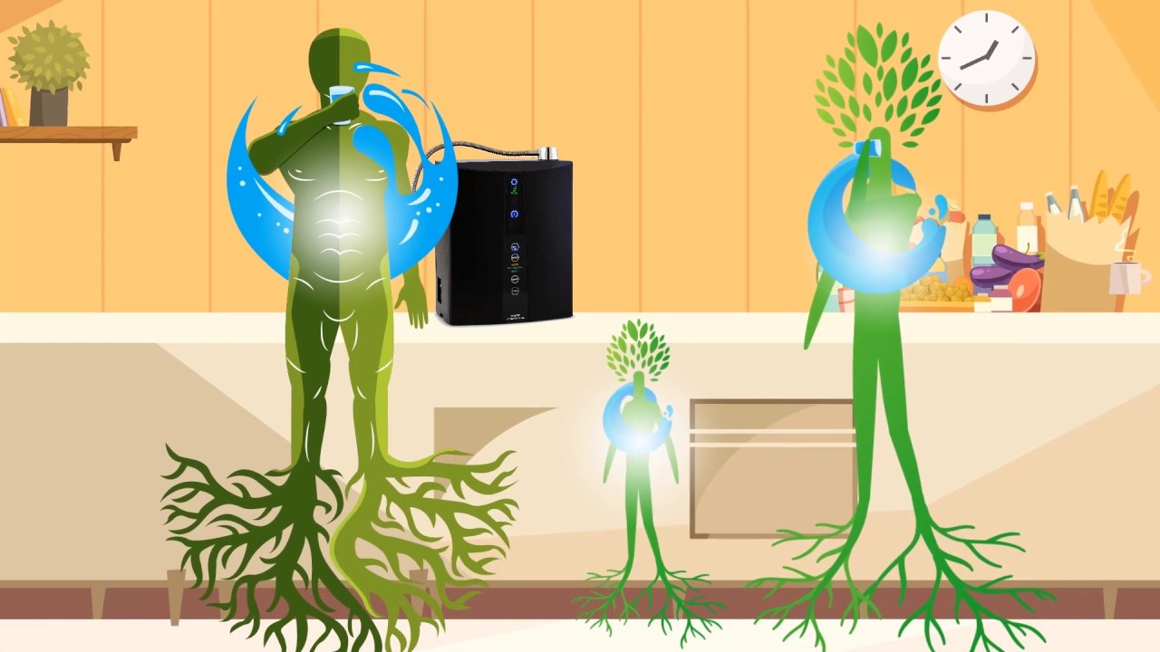 Your Body Is A Tree - YouTube