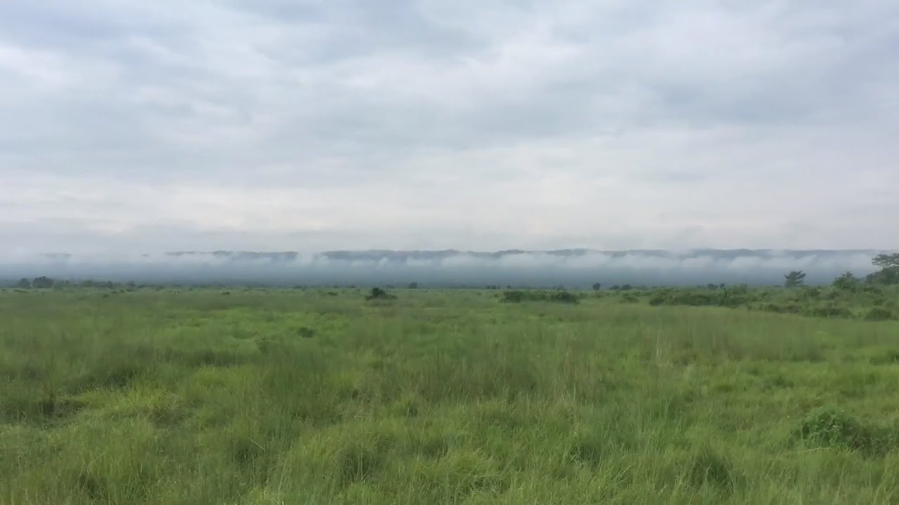 CHITWAN NATIONAL PARK || CG DHAAM || DEVGHAAT || LAMO JHARANA || VLOG ...