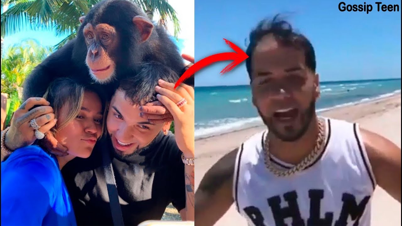 ANUEL AA CASI QUEDA EN EVIDENCIA POR UN MONO - YouTube