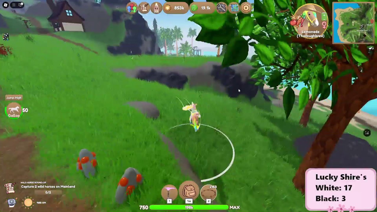 ST PATRICKS EVENT/ IUH HUNTING|WILD HORSE ISLANDS|!rules !iuhcount ...