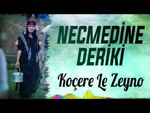 Necmedine Deriki - Koçere Le Zeyno
