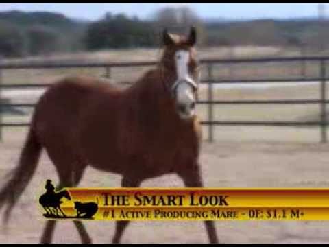 Dual Smart Rey - YouTube