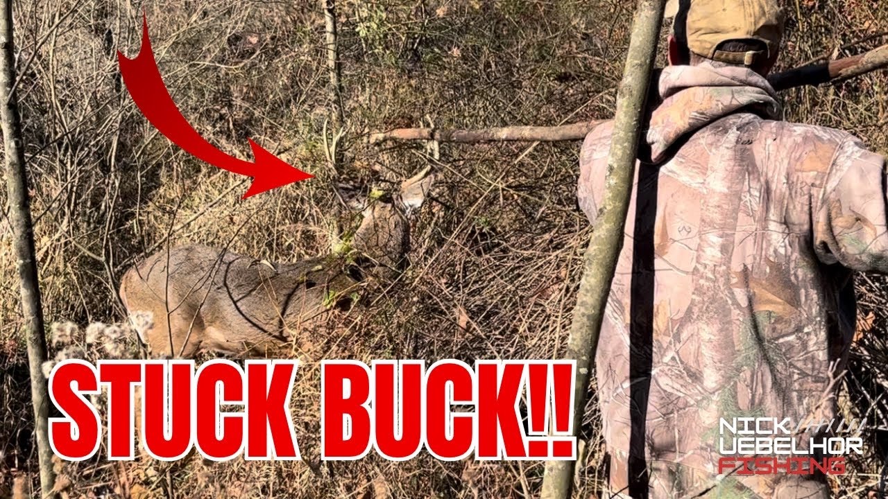 Exhausted Buck Needs Help!! - YouTube