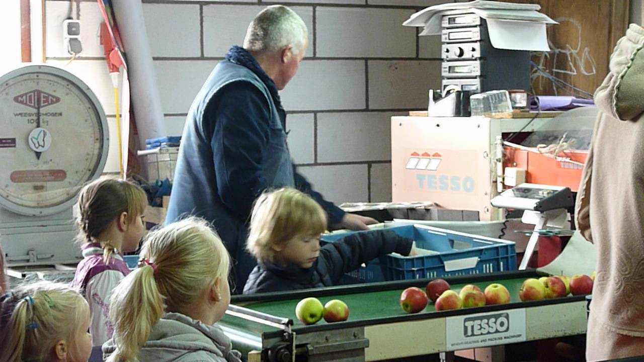 Appels sorteren - YouTube