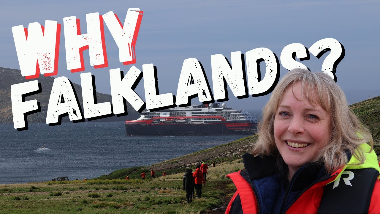 What's So Special About the Falkland Islands? (3 Days Convinced Us ...