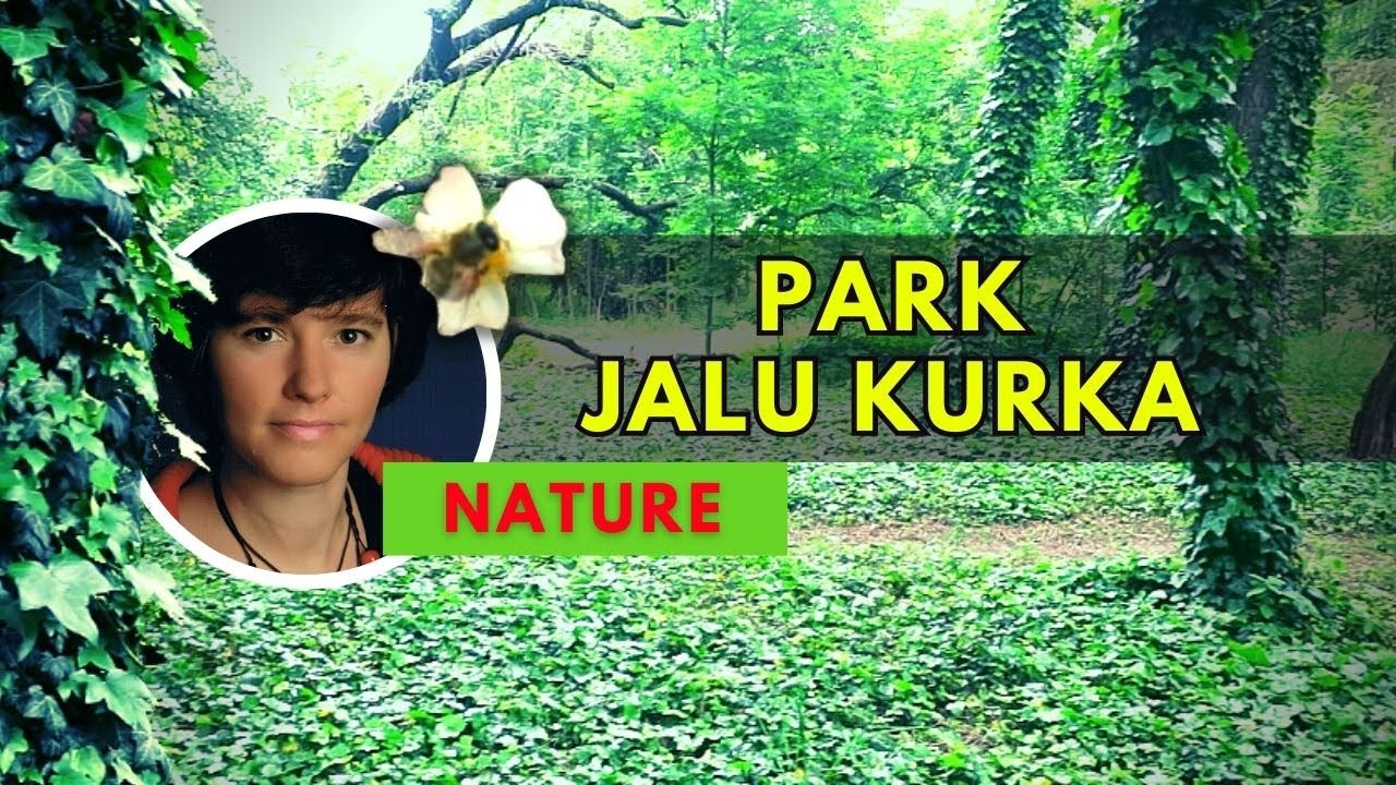 Park Jalu Kurka 💚💛 #nature_a - YouTube