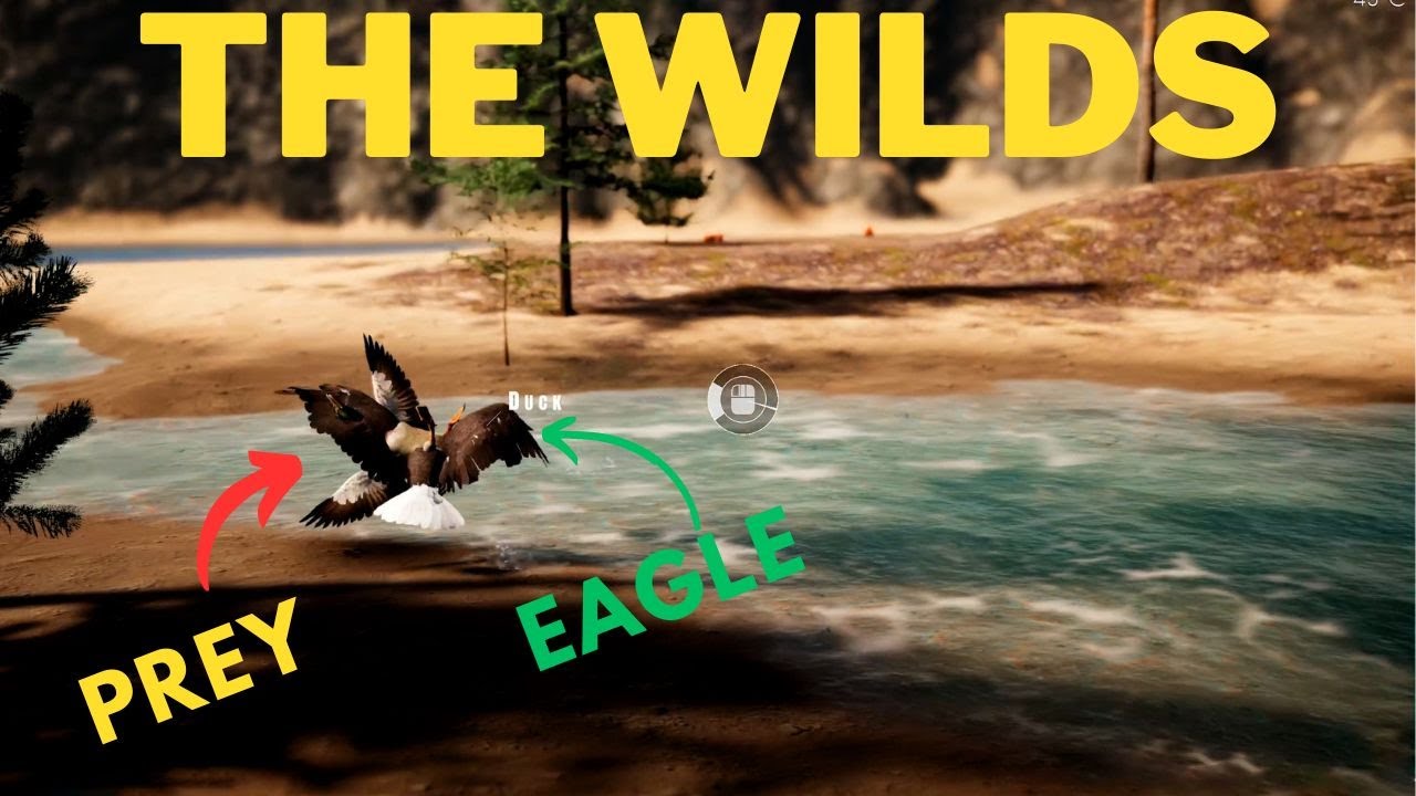 STORY of YOUNG EAGLE who need to LEARN HOW to HUNT (THE WILDS) - YouTube