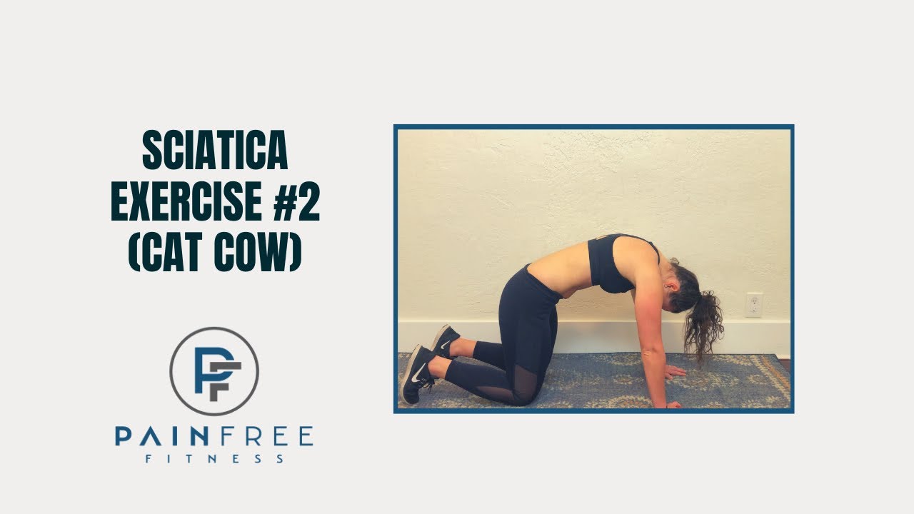 Sciatica Exercise #2 (Cat Cow) - YouTube