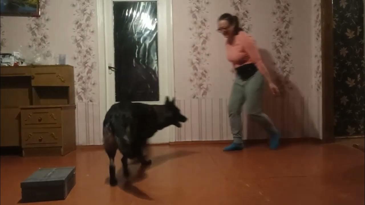 ура!стэп... - YouTube