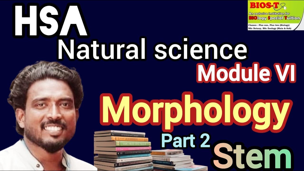 HSA Natural science module VI part 2- Stem - YouTube