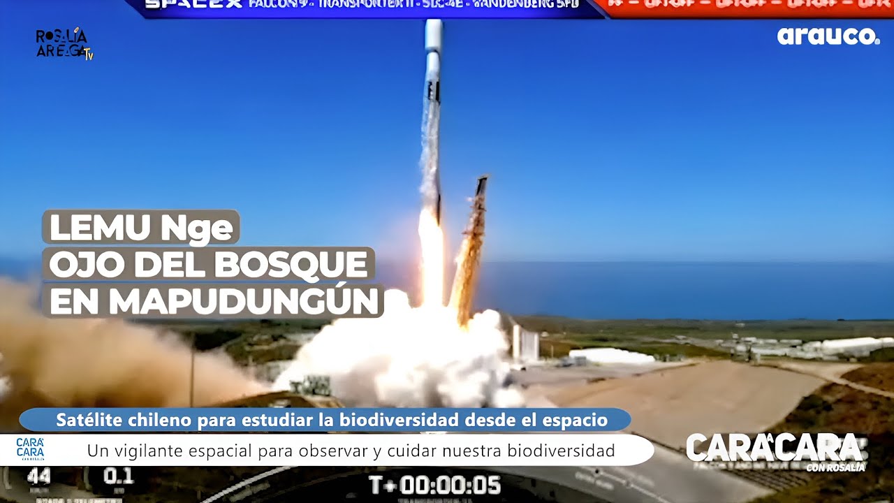 Noticiero Ambiental Verde y Azul - La Actualidad Ambiental - YouTube