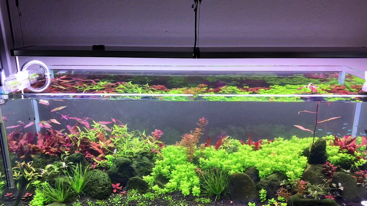 ADA 120p week 4 - YouTube