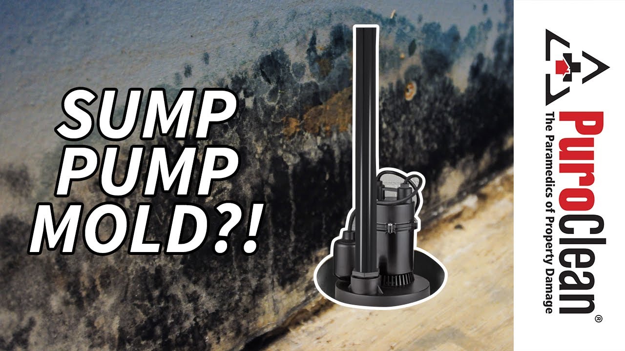 Sump Pump Mold Prevention - PuroClean Restoration Cranford - YouTube