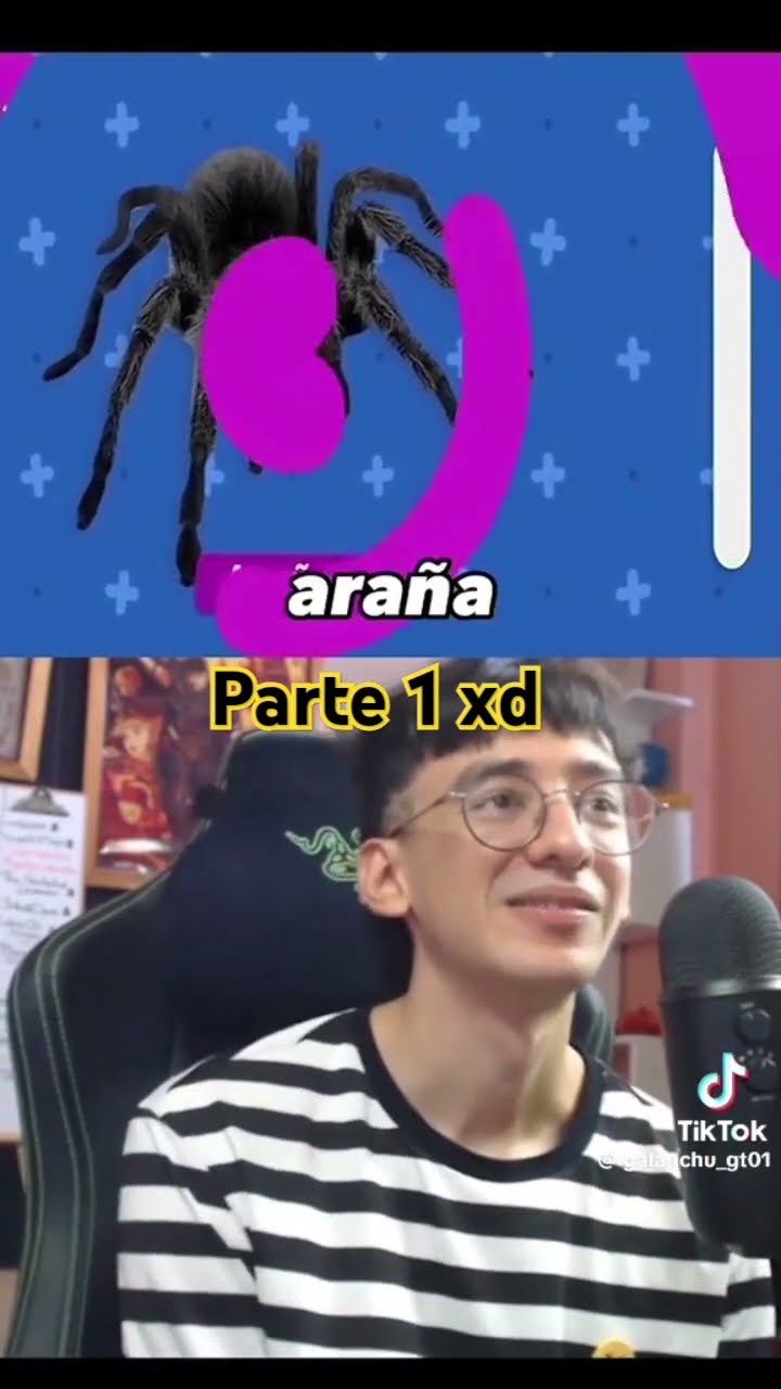 #videos xd - YouTube