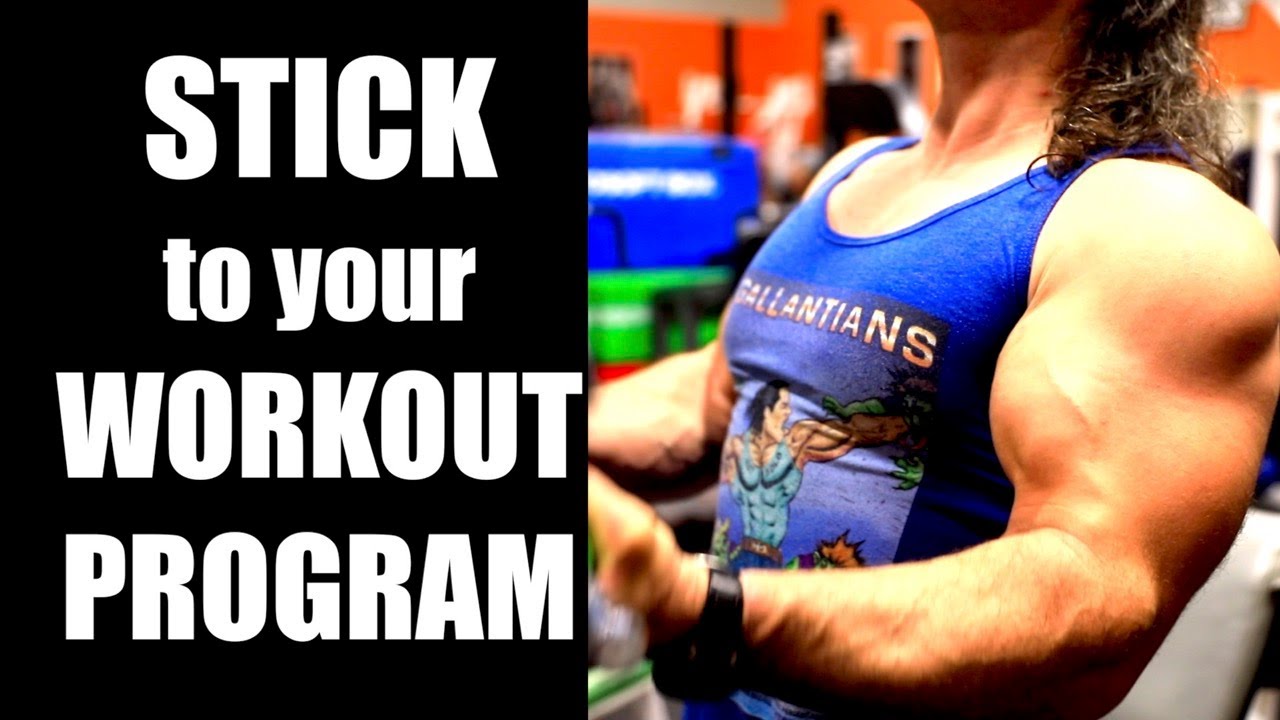 Why You Should STICK to a Workout Program - YouTube