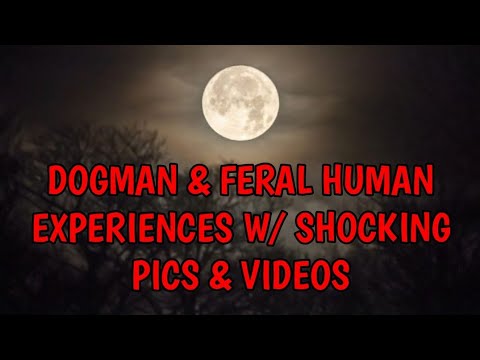DOGMAN & FERAL HUMAN EXPERIENCES W/ SHOCKING PICS & VIDEOS - YouTube