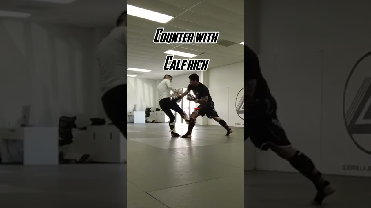 Calf Kick Ko… #mma #muaythai #training #martialarts - YouTube