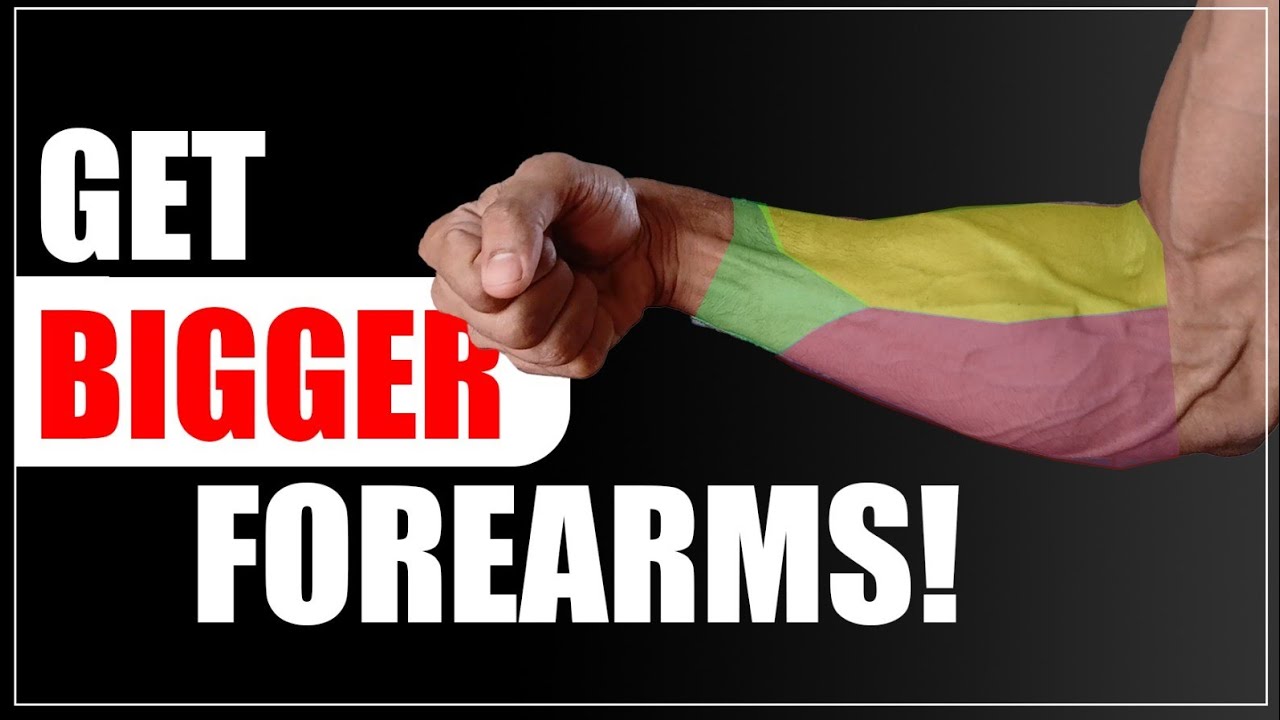 FOREARMS SIZE വെക്കുന്നില്ലേ??| GRIP STRENGTH | ANATOMY EXPLAINED - YouTube