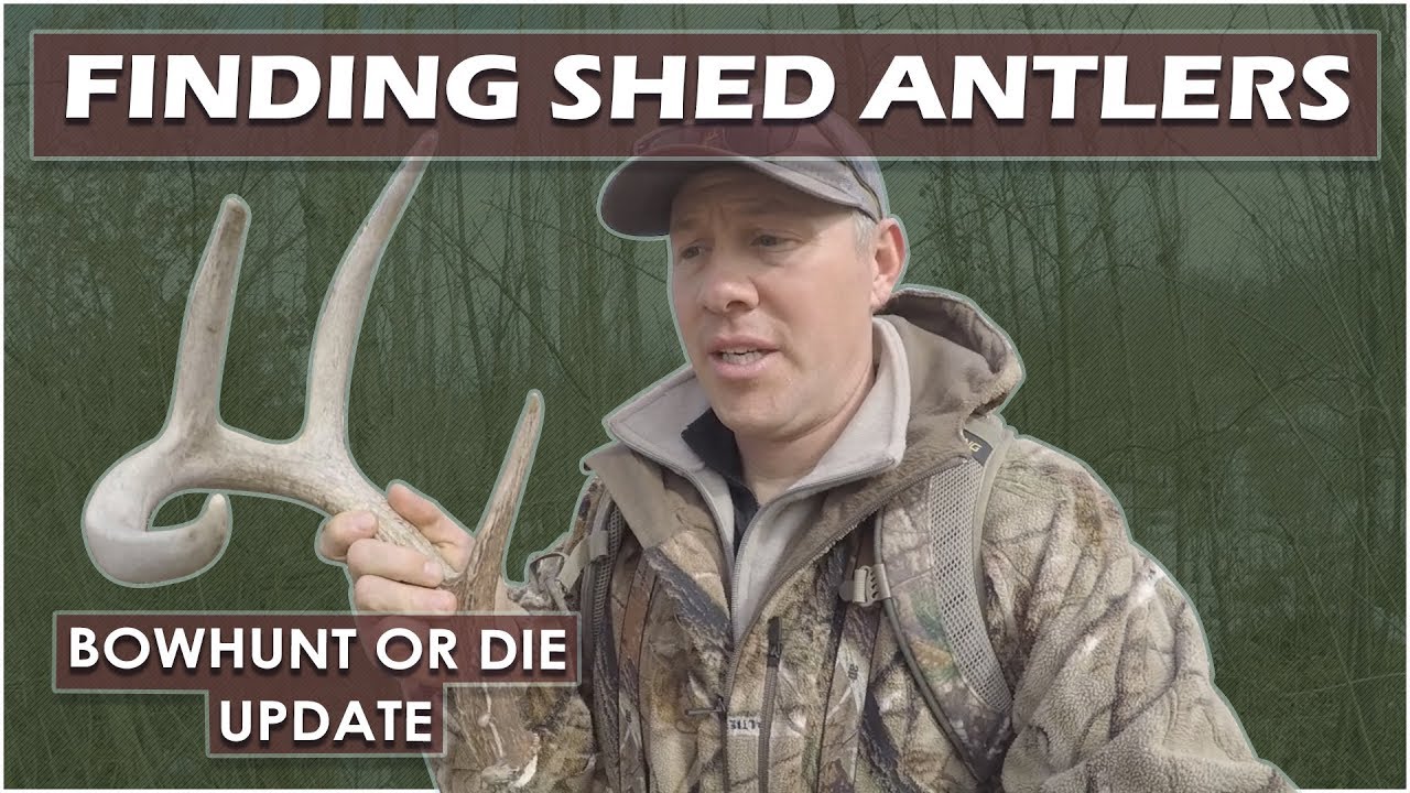 Whitetail Deer Shed Hunting Public and Private Land - Finding Shed ...