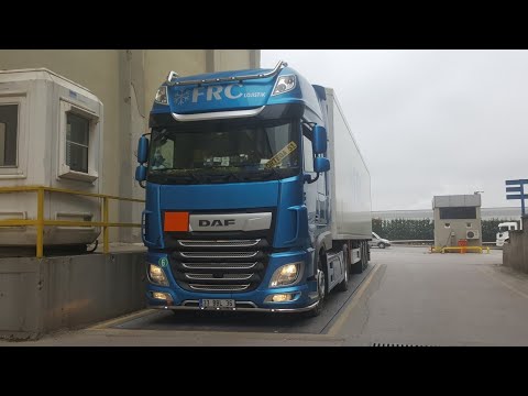 DAF 480 JAMAİKALI KANKAM / FRC LOJİSTİK / ORTEGA YOLLARDA