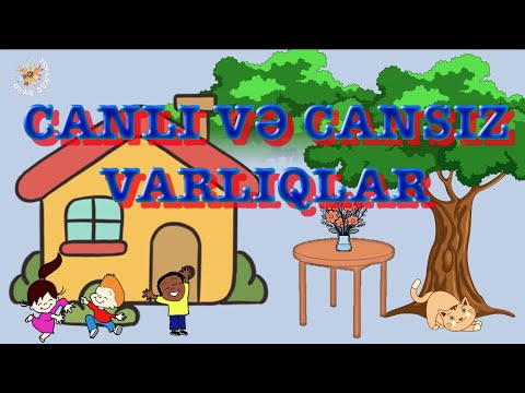 CANLI VƏ CANSIZ VARLIQLAR 🙋🌷🌳🦌🫖🚗📻