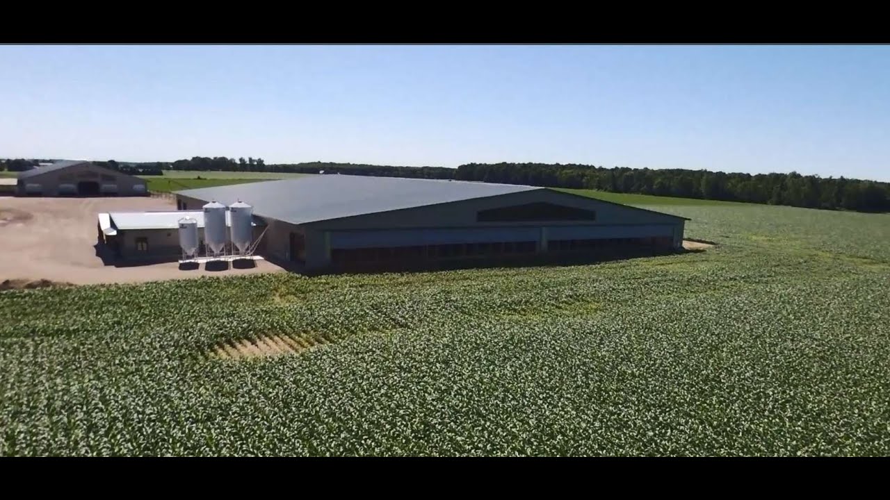 Massive new dairy barn completed - Another windy day - YouTube