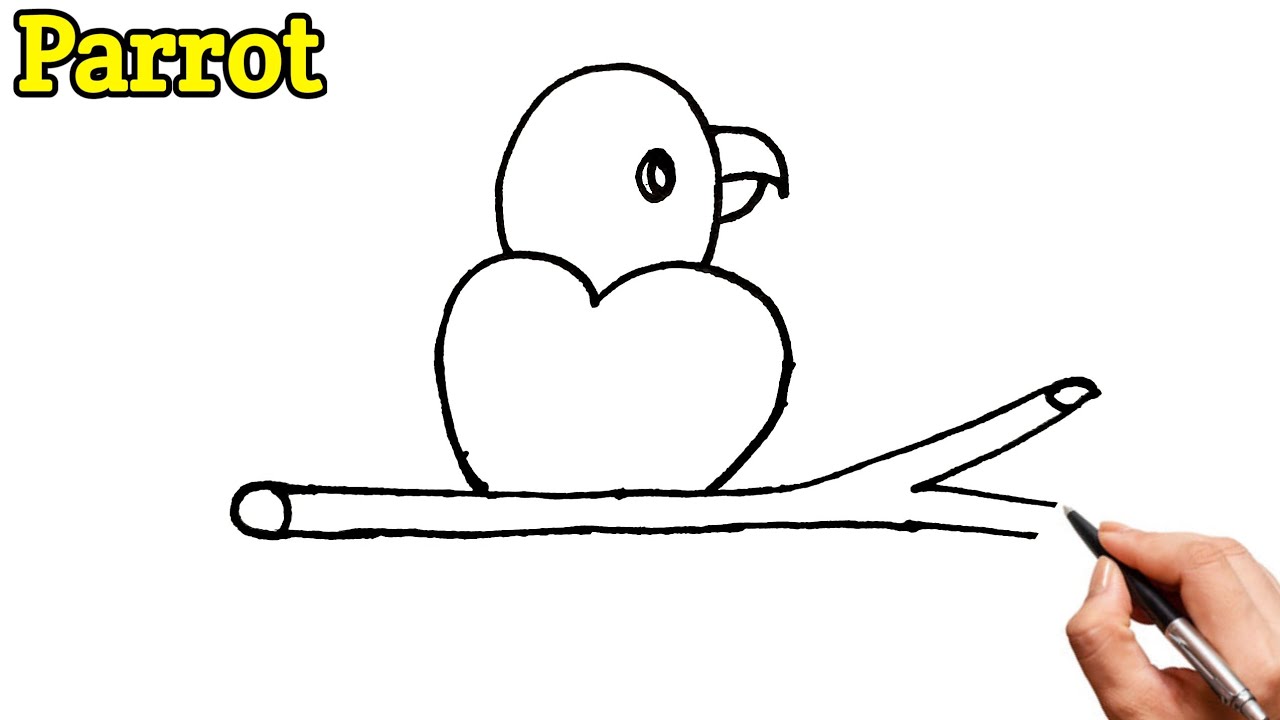 Parrot Drawing Easy & Simple For Beginner l Drawing Pictures l Parrot ...