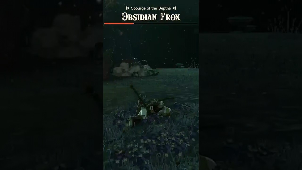 Legend of Zelda Tears of the Kingdom Obsidian Frox - YouTube