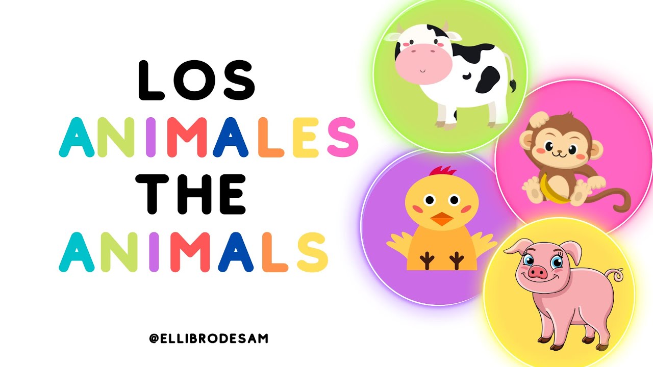 Aprende los animales - Español (Latino) - Inglés // Learn the animals ...