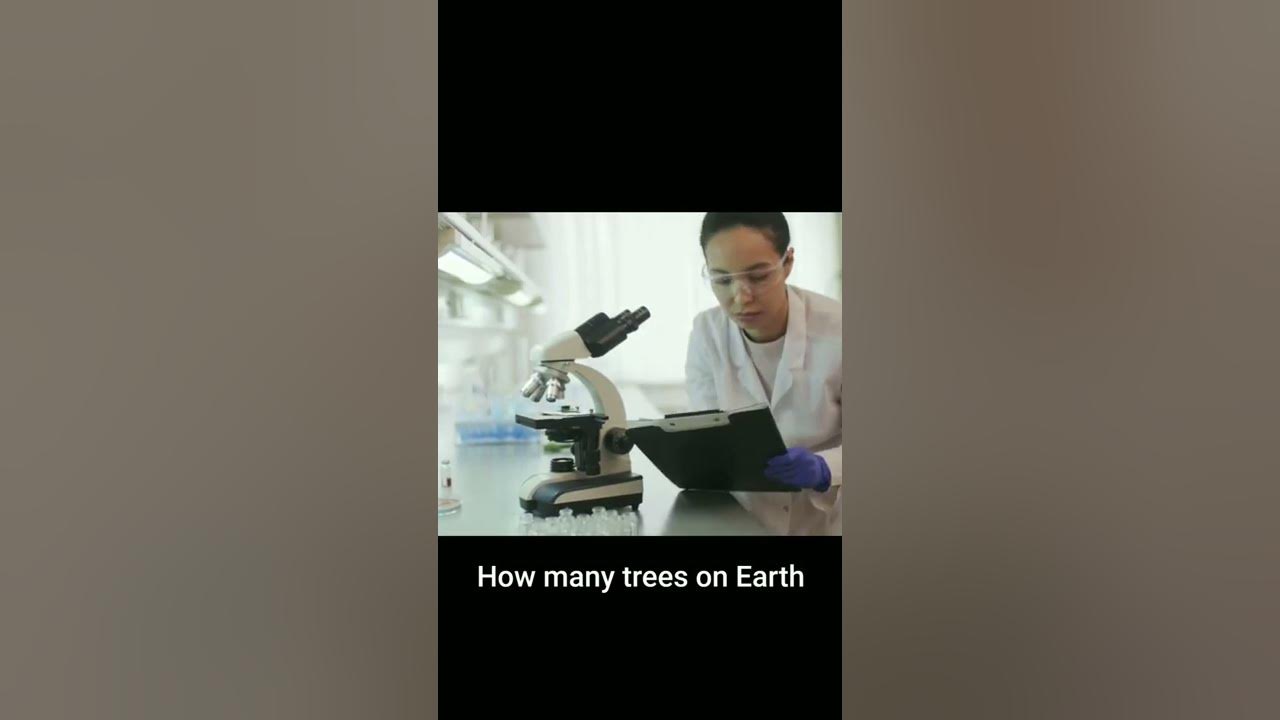 How Many Trees On Earth shorts facts YouTube how-many-trees-on-earth-shorts-facts-youtube