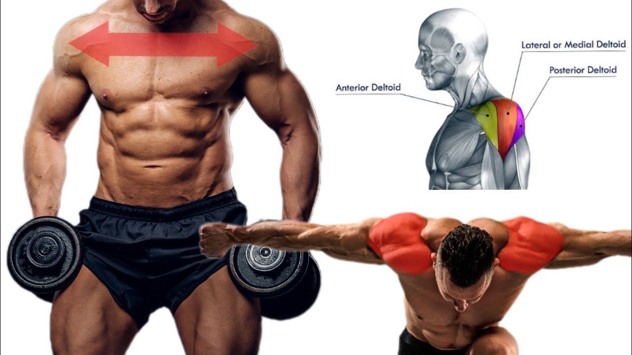 Best Shoulder Exercises to Build Big Wide Shoulders | Best Shoulder ...