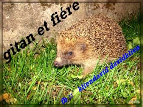 gitan33.wmv