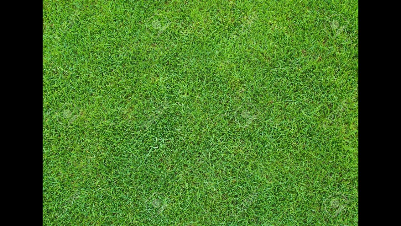 Minecraft Resource Pack | Laacis2's natural 1024x1024 - YouTube