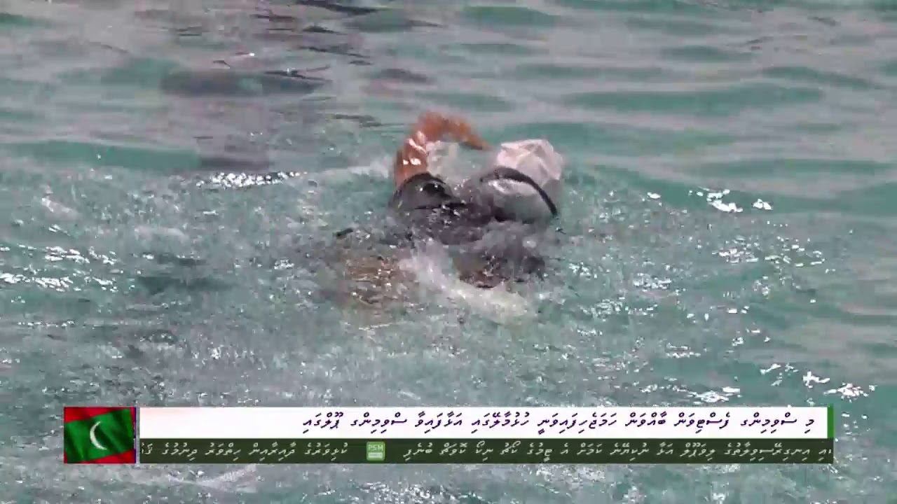 PSM News Live Live Stream - YouTube