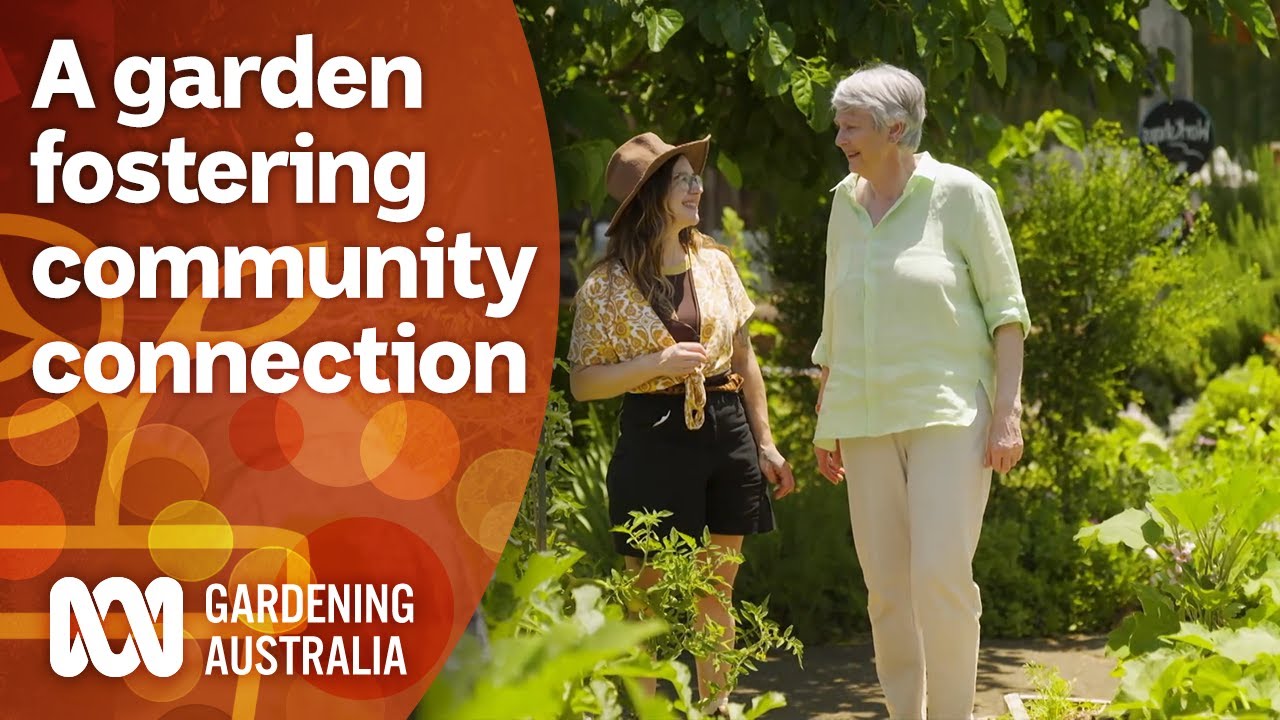 A garden project fostering inclusive community connection | Garden ...