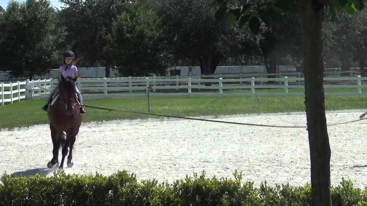 Sasha's horse riding - 19 months after first lesson - YouTube