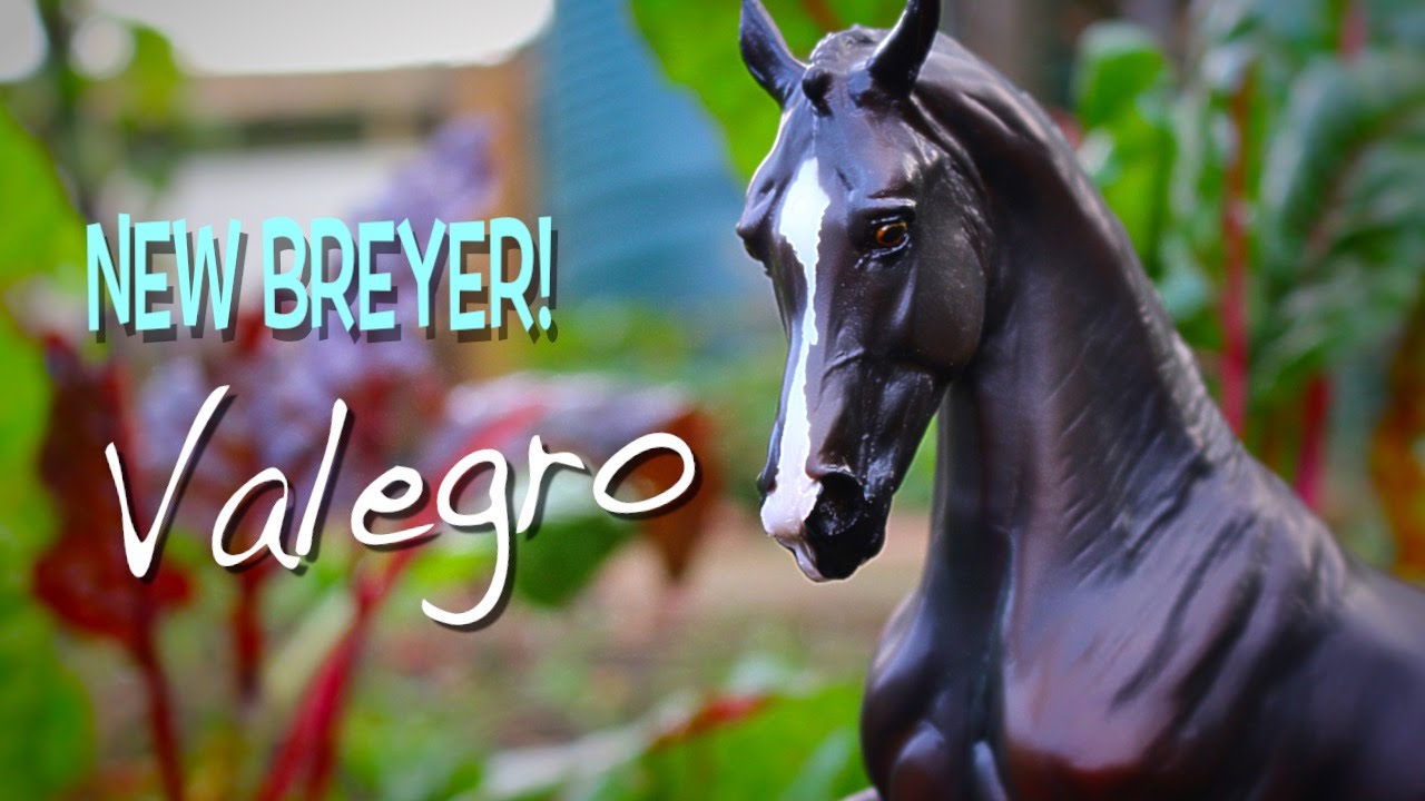New Breyer Valegro! - Review (kinda) - YouTube