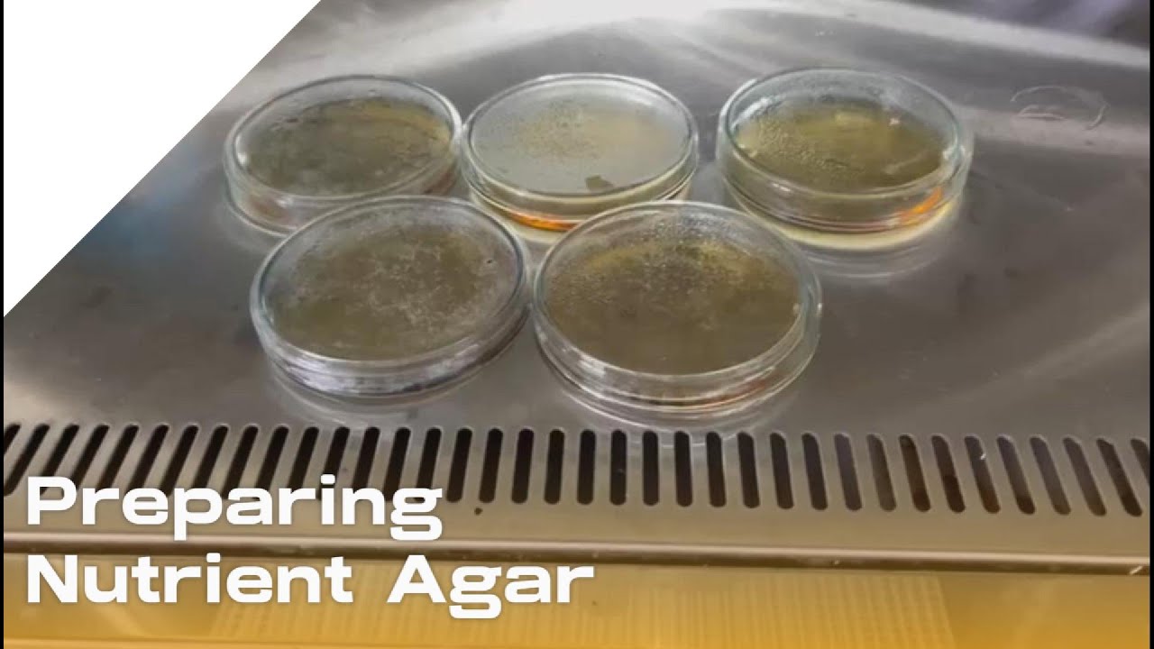 Preparation of Nutrient Agar - YouTube