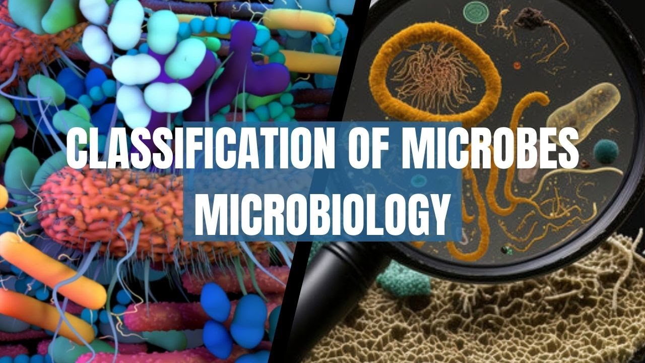 Classification of microbes ## Microbiology ## Bsc nursing ##2nd yr ...