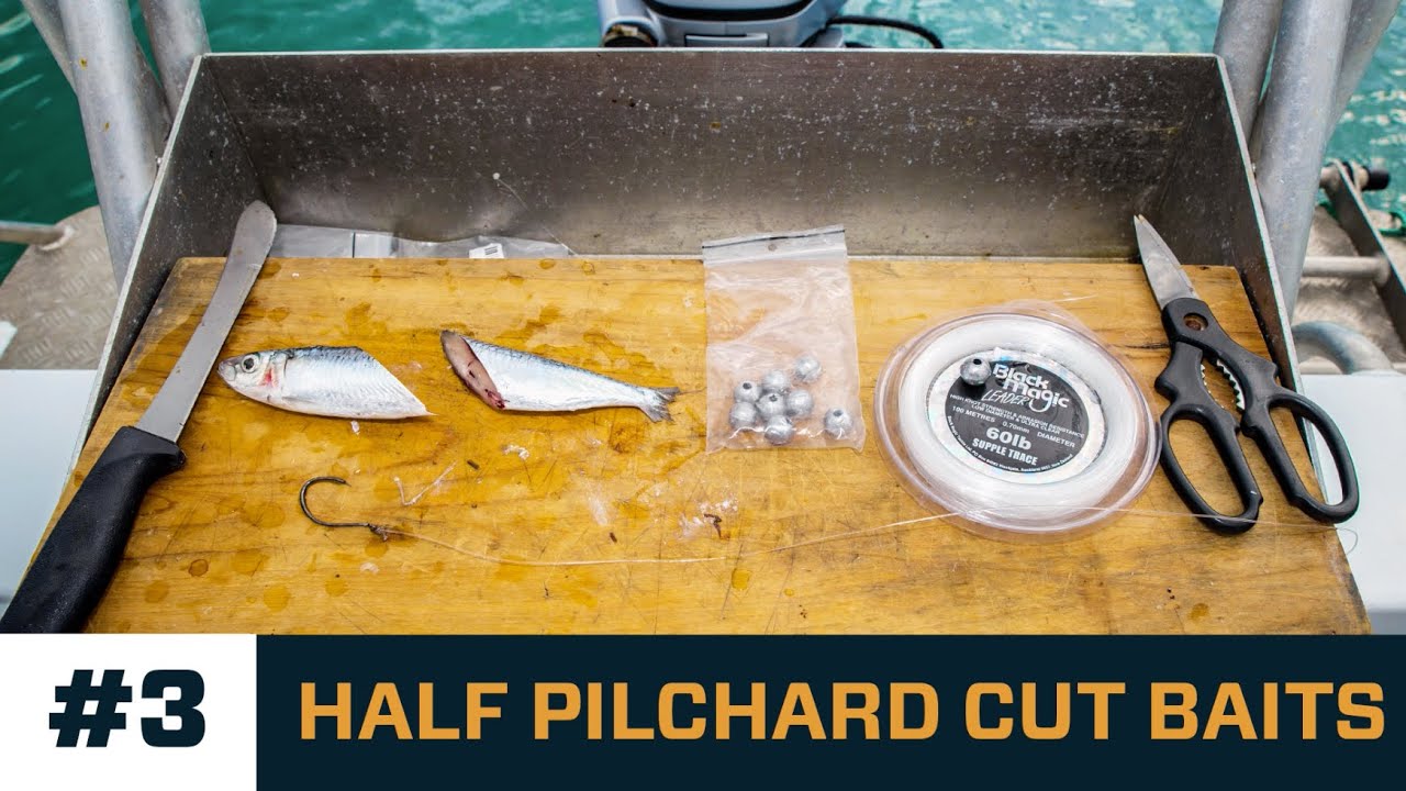 NZFW Best Bait Series - Half Pilchard Cut Baits - YouTube