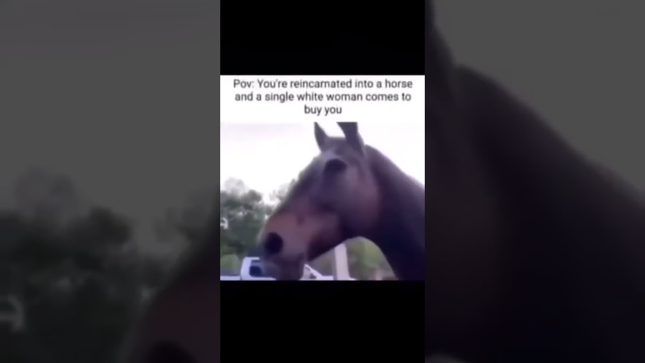 Ayy Yoo😳 #meme #dankmemes #memes - YouTube