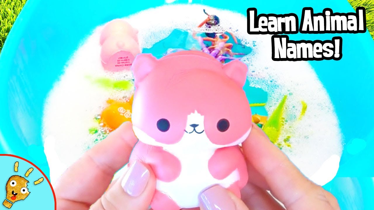 SUDSY Tub ANIMALS! LEARN with Squishee Nugget - YouTube