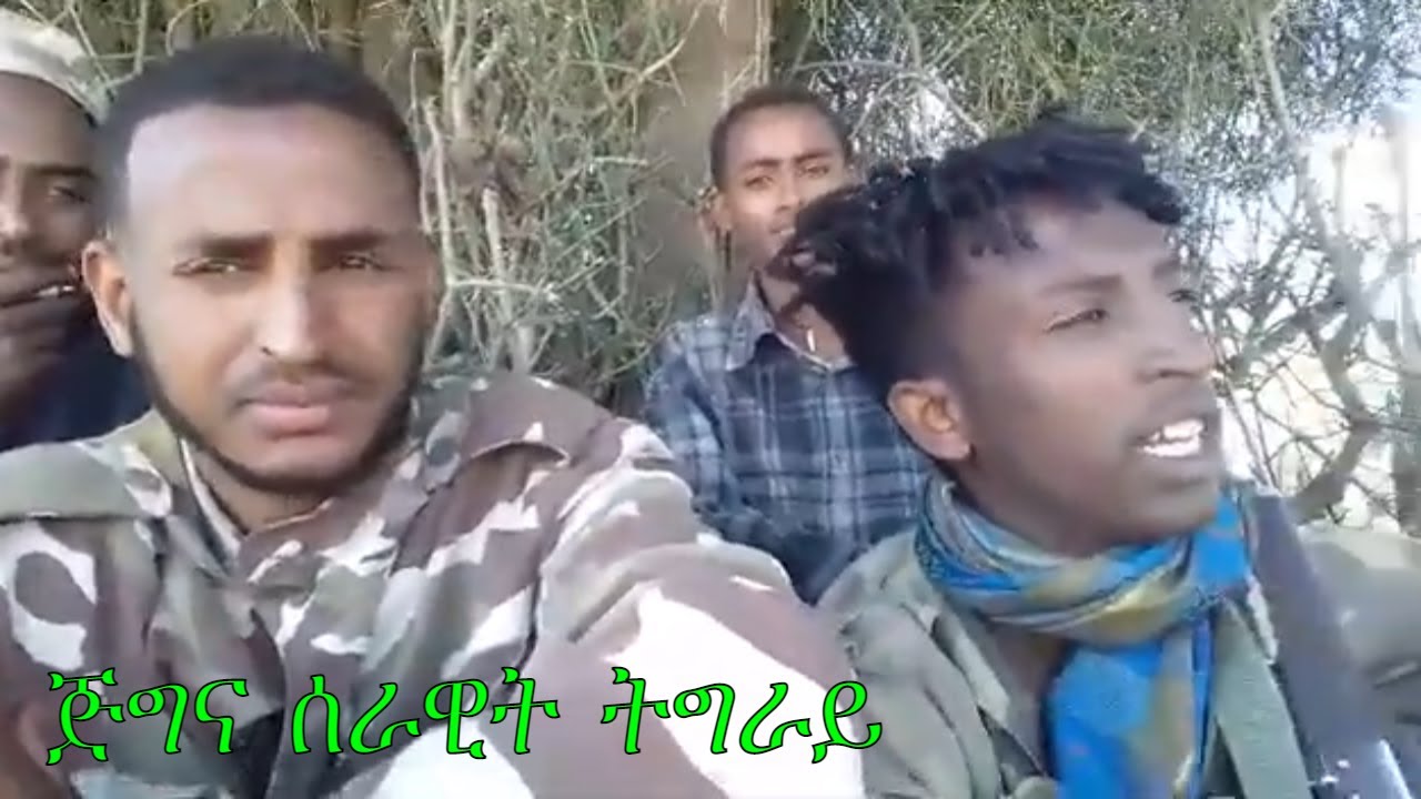 TDF ተጋዳላይ ፍታነገስ Tigray Solider - YouTube
