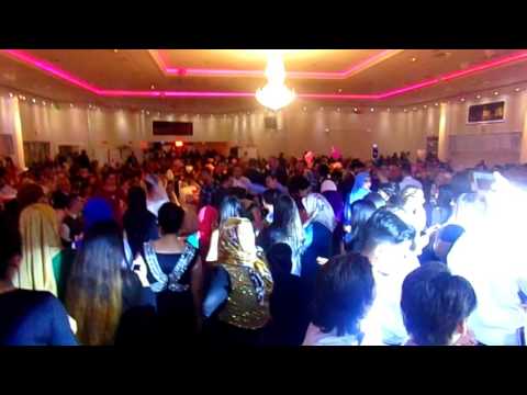 ELYSSE MARIAGE PARIS** ZURNACI HAYDAR ve ORKESTRASI
